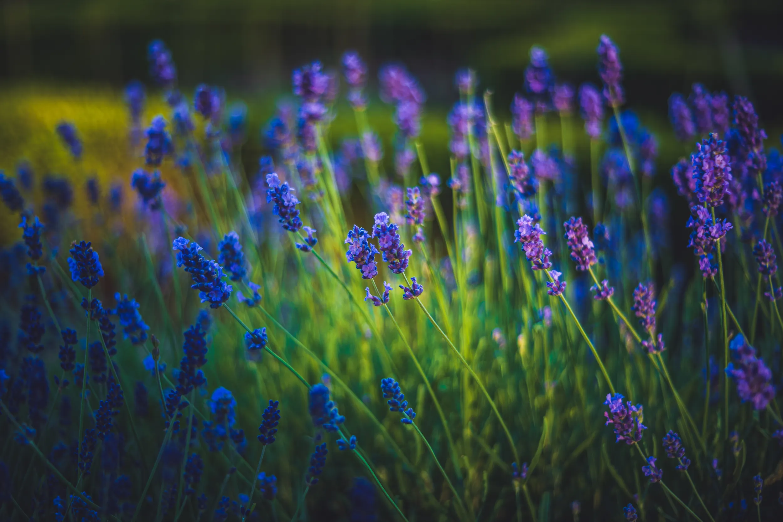 Free Shortcuts 4K Wallpapers & Desktop HD Backgrounds for PC