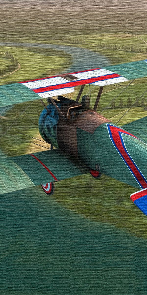 Fonds d'écran Chameau Sopwith pour PC, télécharger gratuitement des ...