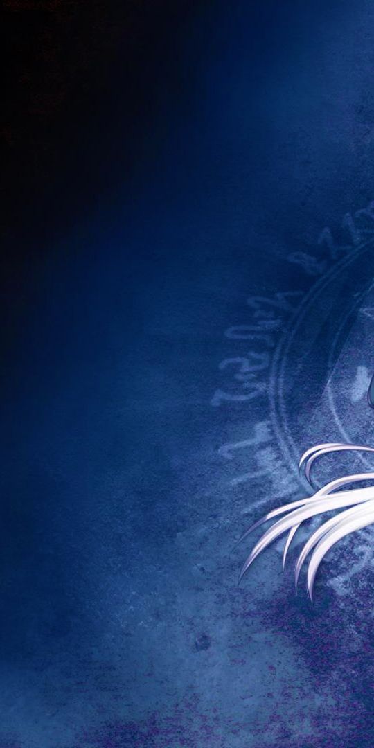 Desktop wallpaper: Rider (Fate/stay Night), Anime, Fate/stay Night ...