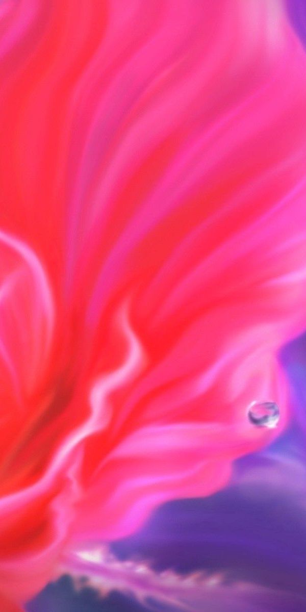 Phone wallpaper: Colourful, Poppy, Abstract, Flower, Picture, Drawing ...