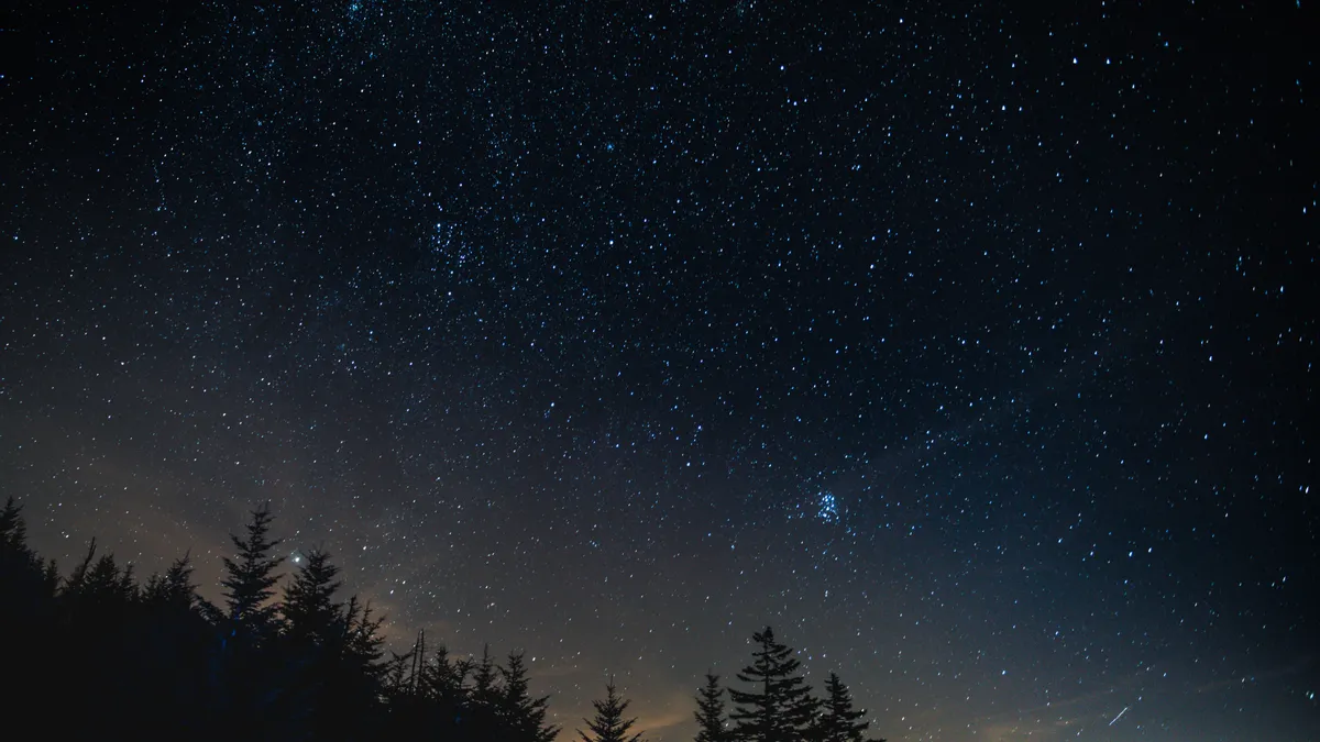 Desktop wallpaper: Night Landscape, Nature, Trees, Night, Starry Sky ...