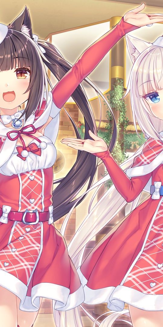 Fond d'écran HD: Vanille (Nekopara), Animé, Nekopara, Azuki (Nekopara ...