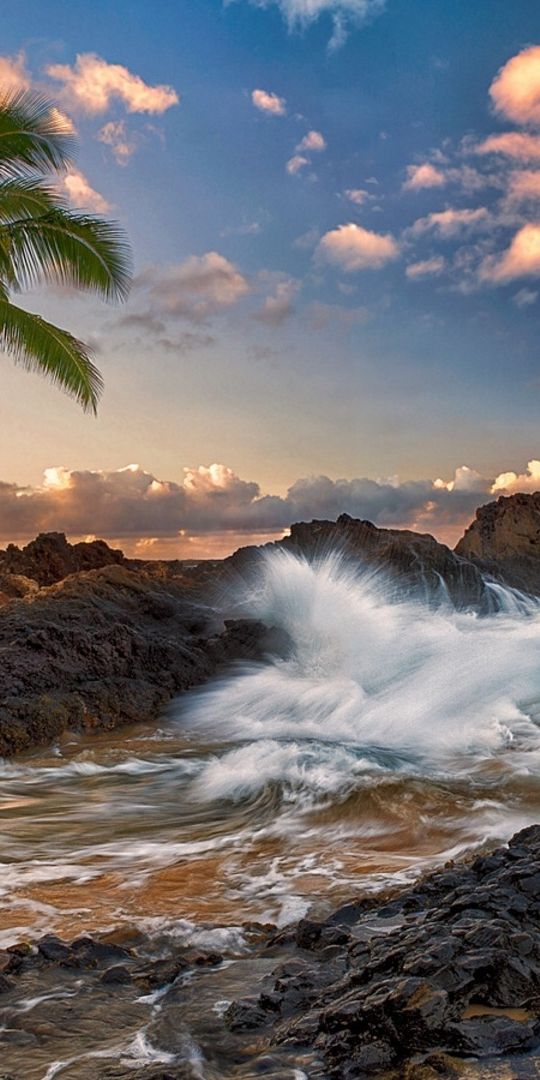 Phone wallpaper: Sea, Beach, Horizon, Tree, Ocean, Splash, Earth, Wave ...