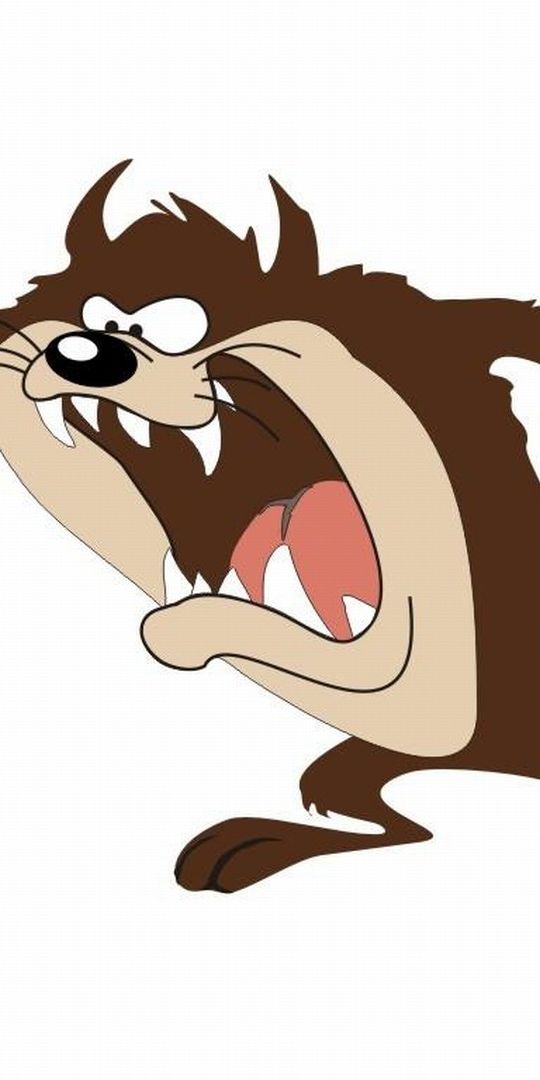 Télécharger gratuitement le fond d'écran "Taz Mania" pour votre ...
