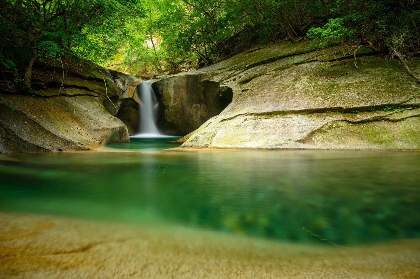Free Greenery 4K Wallpapers & Desktop HD Backgrounds for PC