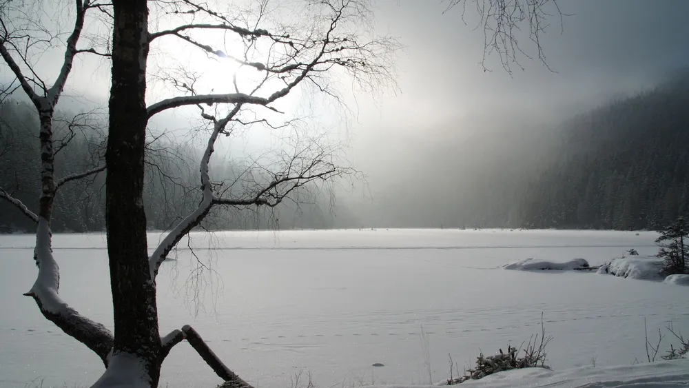Desktop wallpaper: Winter, Snow, Landscape, Cities, Roads 4K free ...