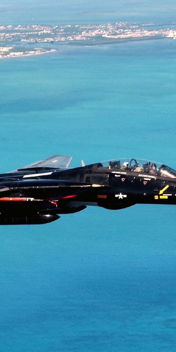 Desktop wallpaper: Grumman F 14 Tomcat, Military, Jet Fighters 4K free ...