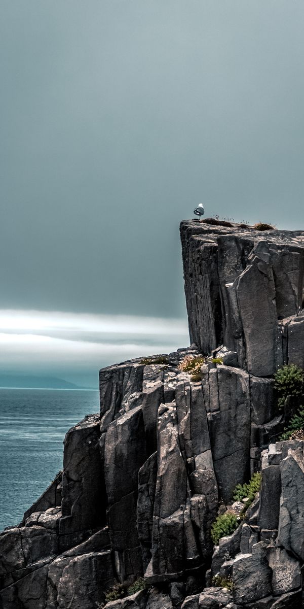 Desktop wallpaper: Nature, Rock, Vertex, Top, Bird 4K free download for ...
