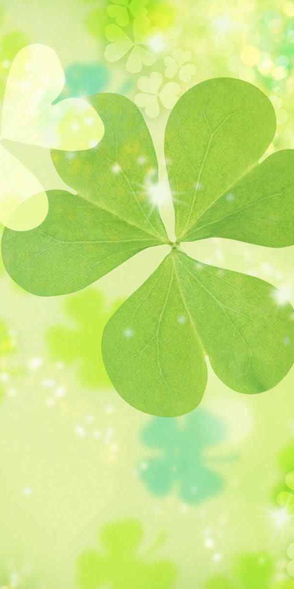 Free Clover 4K Wallpapers & Desktop HD Backgrounds for PC