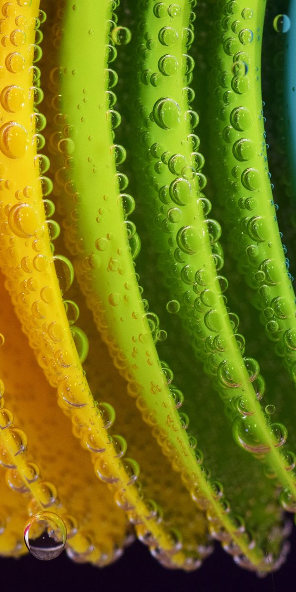 Plastic Spoons Phone Wallpapers: Free 4K & HD Downloads | mob.org