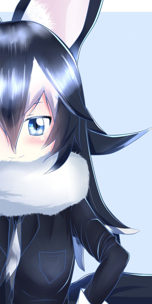 Desktop wallpaper: Anime, Kemono Friends, Gray Wolf (Kemono Friends ...