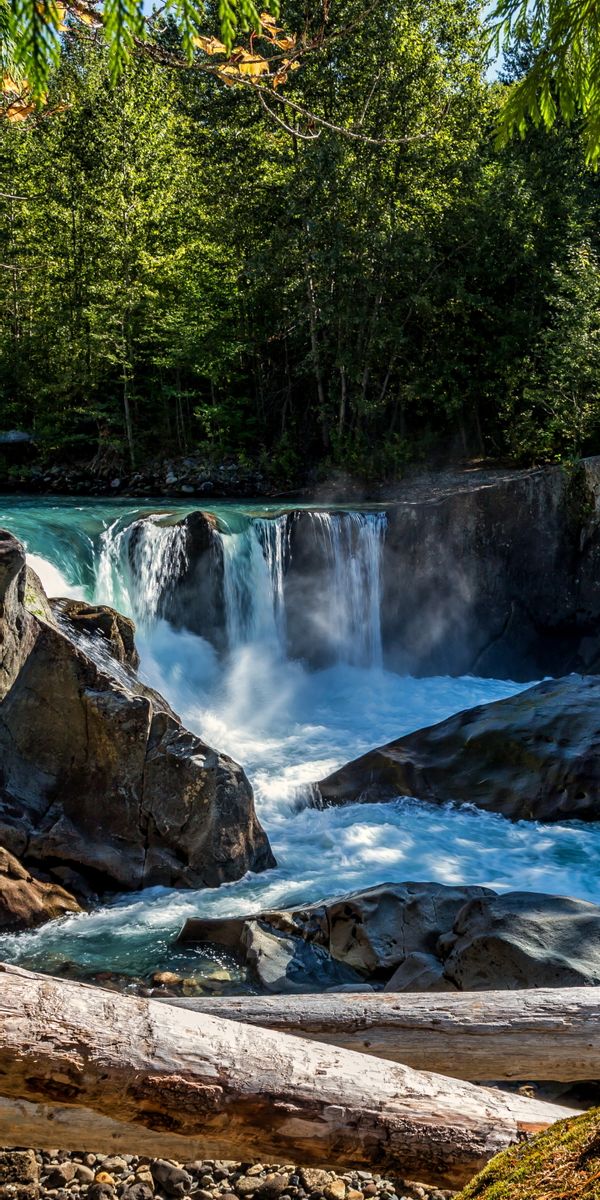 Phone wallpaper: Waterfalls, Earth, Waterfall, Tree, Log 1163750