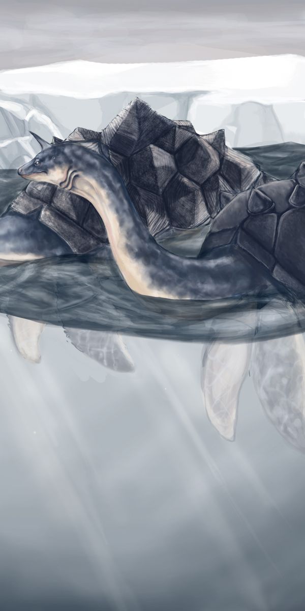 Phone wallpaper: Anime, Pokémon, Lapras (Pokémon), Water Pokémon 234998