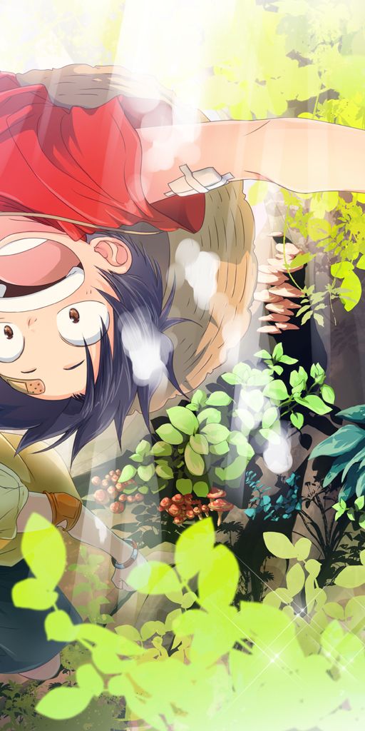 Fond d'écran HD: One Piece, Monkey D Luffy, Portgas D Ace, Animé ...