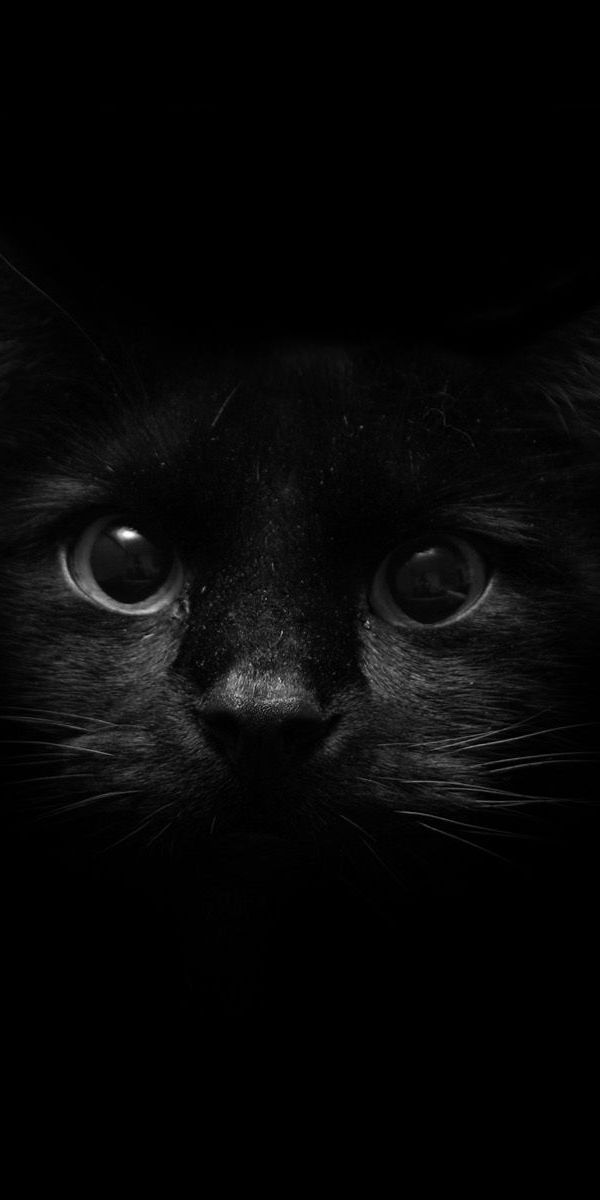 Black wallpapers for desktop, download free Black pictures and ...