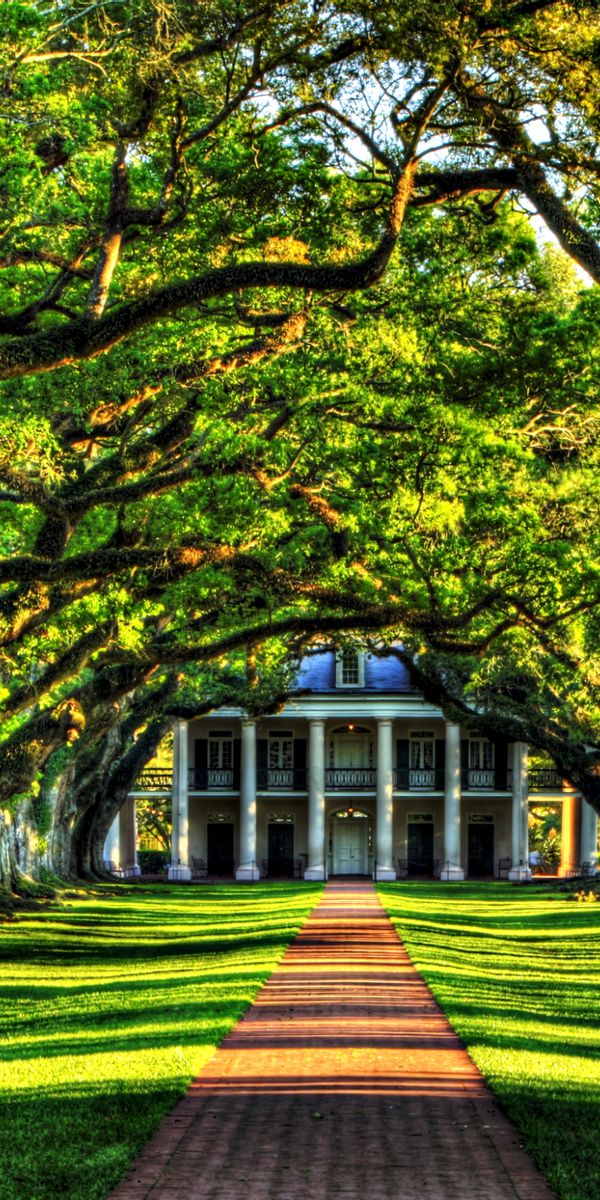 Desktop wallpaper: Tree, Grass, Landscape, Villa, House, Man Made ...