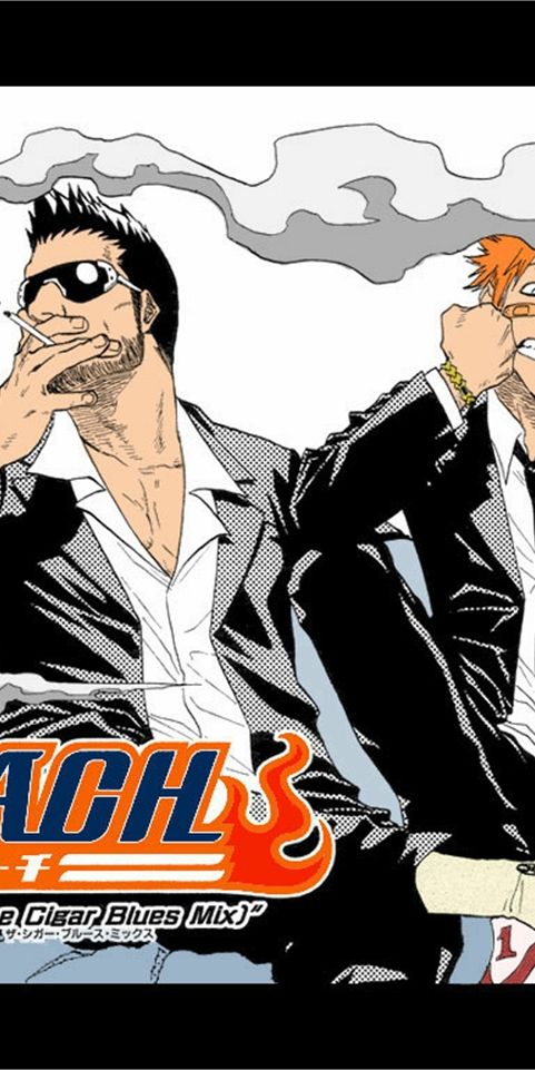 Phone wallpaper: Anime, Bleach, Ichigo Kurosaki, Isshin Kurosaki 1462151