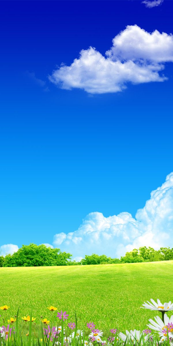 Phone Wallpapers & Background Images: Free 4K Download