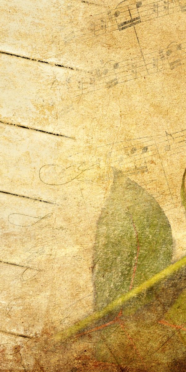 Sheet Music Phone Wallpapers: Free 4K & HD Downloads | mob.org