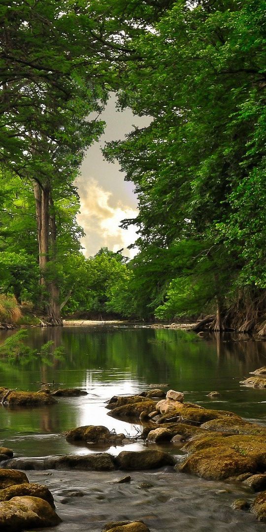 Free 4K Desktop Wallpapers & PC Backgrounds in HD | Download Now