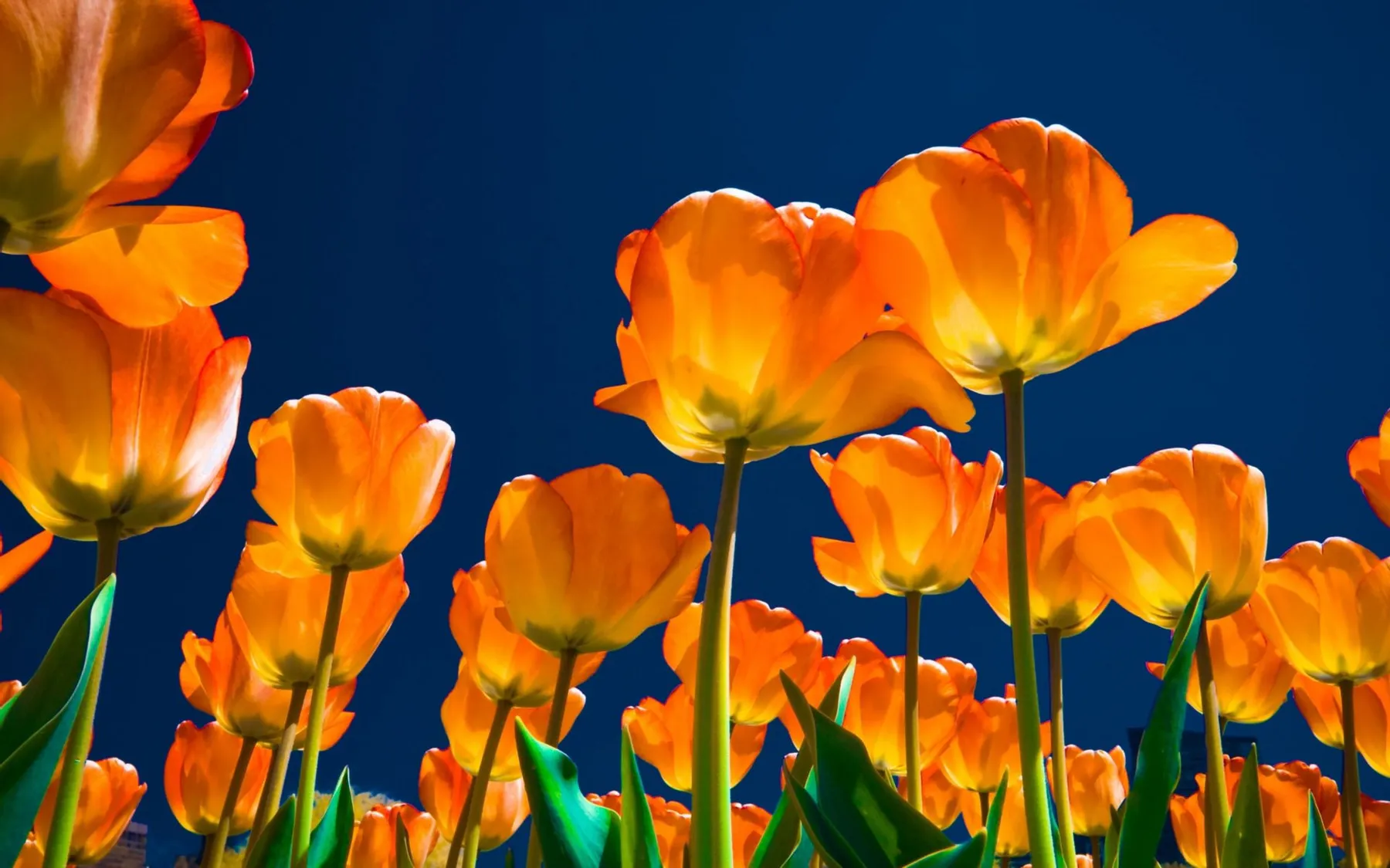 Free Printer 4K Wallpapers & Desktop HD Backgrounds for PC