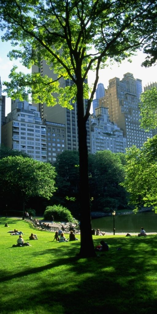 Fondos de pantalla de Parques para celular, gratis del teléfono 4K