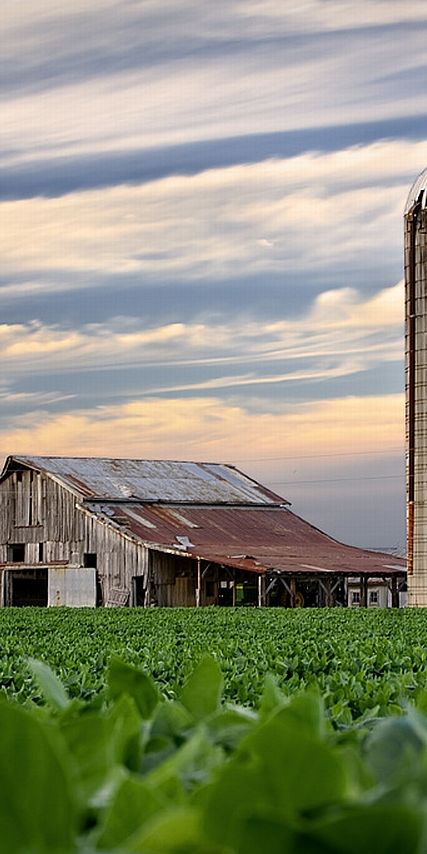 Desktop wallpaper: Barn, Man Made 4K free download for PC. 1443970