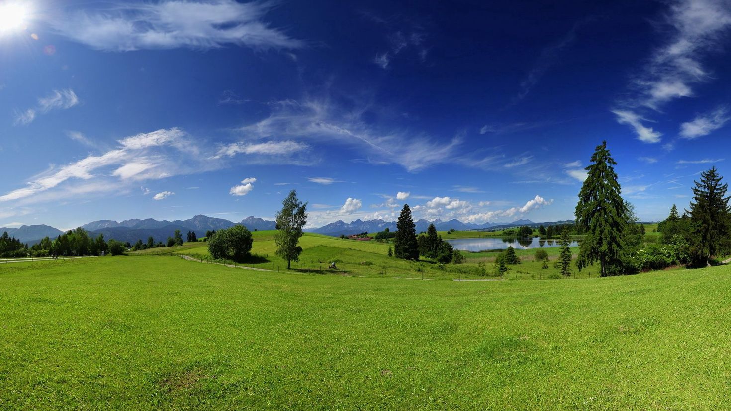 Desktop wallpaper: Nature, Trees, Landscape 4K free download for PC. 48843