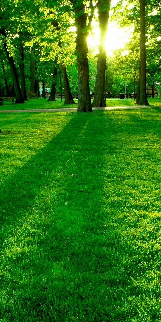 Green wallpapers for your phone, free download Green pictures