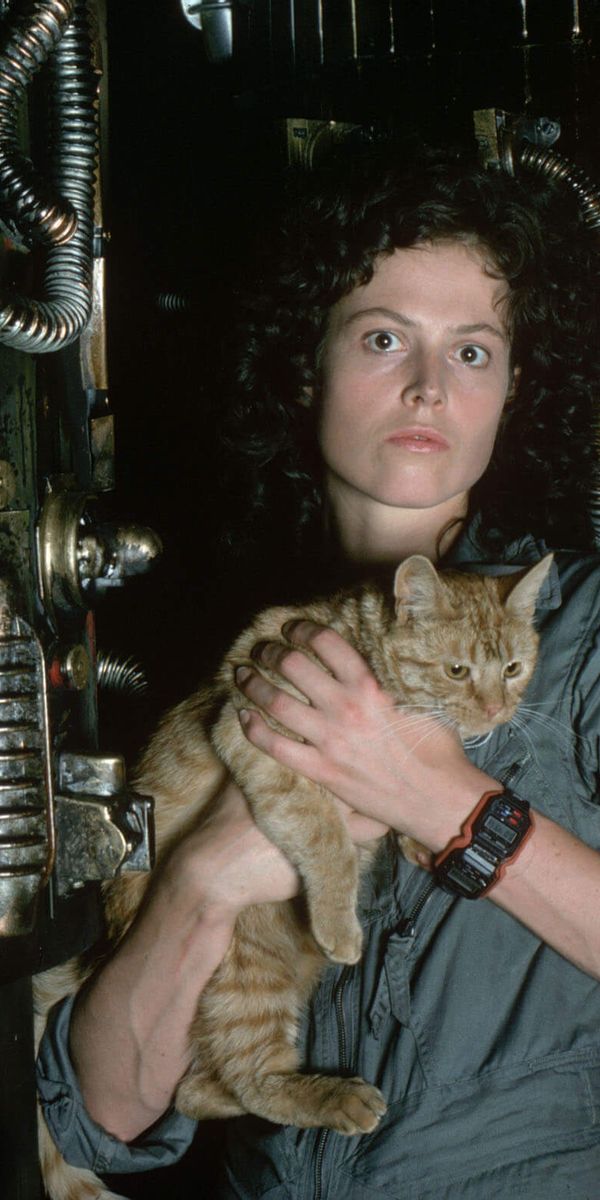 Phone wallpaper: Ellen Ripley, Sigourney Weaver, Movie, Alien, Cat 421187