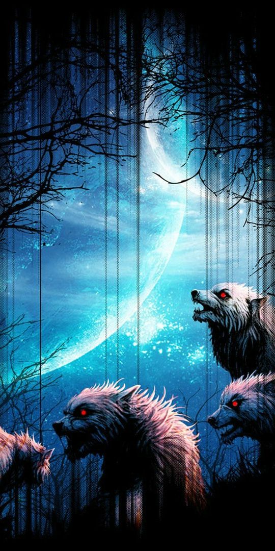 Desktop wallpaper: Wolf, Animal, Wolves 4K free download for PC. 326834