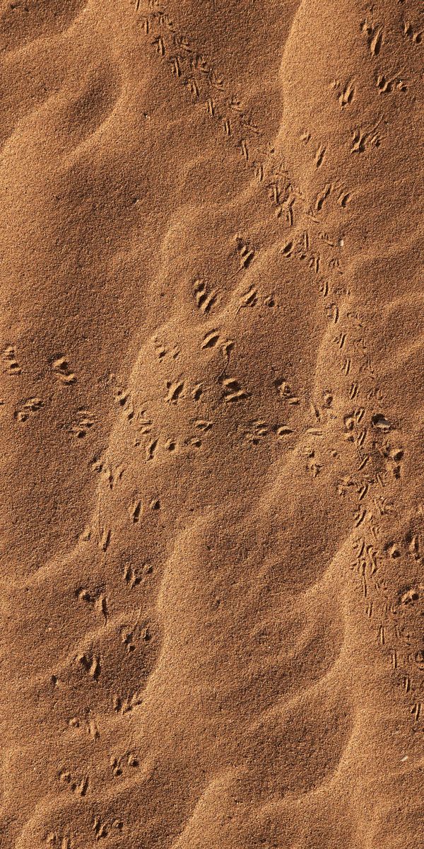 Papel de parede para celular: Areia, Deserto, Textura, Texturas, Traços ...