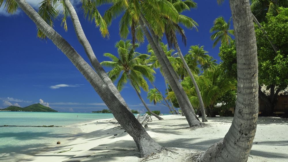 HD desktop wallpaper: Beach, Earth, Tropics, Lagoon, French Polynesia ...