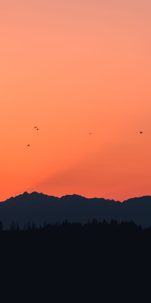 Desktop wallpaper: Outlines, Birds, Sunset, Mountains, Dark 4K free ...