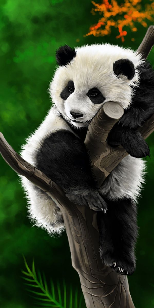 Animal Phone Wallpapers: Free 4K & HD Downloads | mob.org