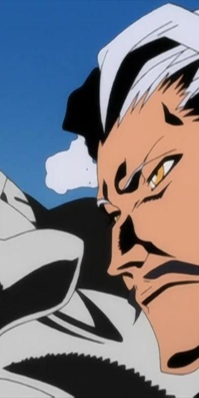 Desktop wallpaper: Anime, Bleach, Chōjirō Sasakibe, Genryūsai Shigekuni ...