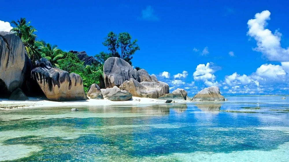 Free 4K Desktop Wallpapers & PC Backgrounds in HD | Download Now