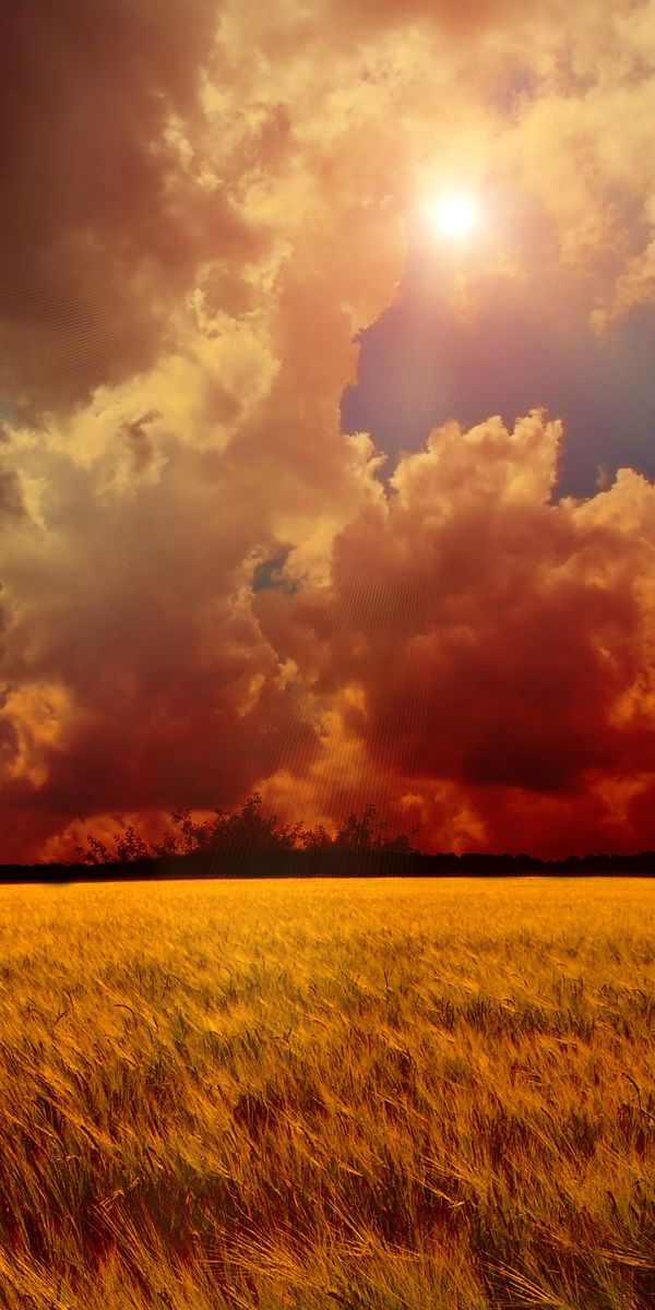 Desktop wallpaper: Sun, Landscape, Sky, Earth, Cloud, Field ...