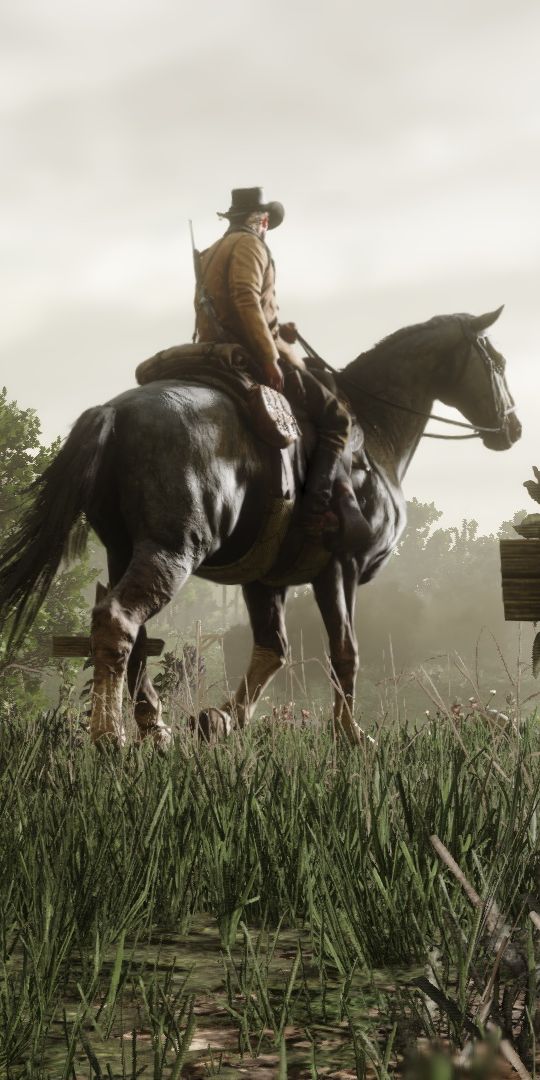 Phone wallpaper: Red Dead Redemption 2, Cowboy, Western, Video Game ...