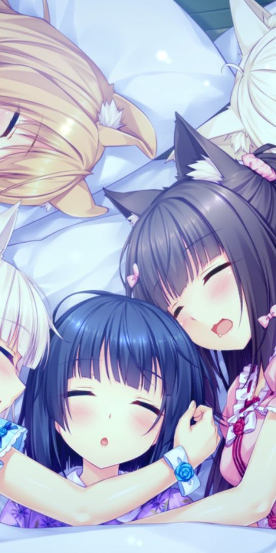 Papel de parede para celular: Anime, Nekopara, Azuki (Nekopara ...