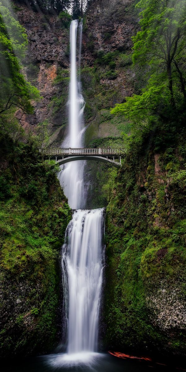 Phone wallpaper: Multnomah Falls, Earth, Waterfall, Bridge, Greenery ...