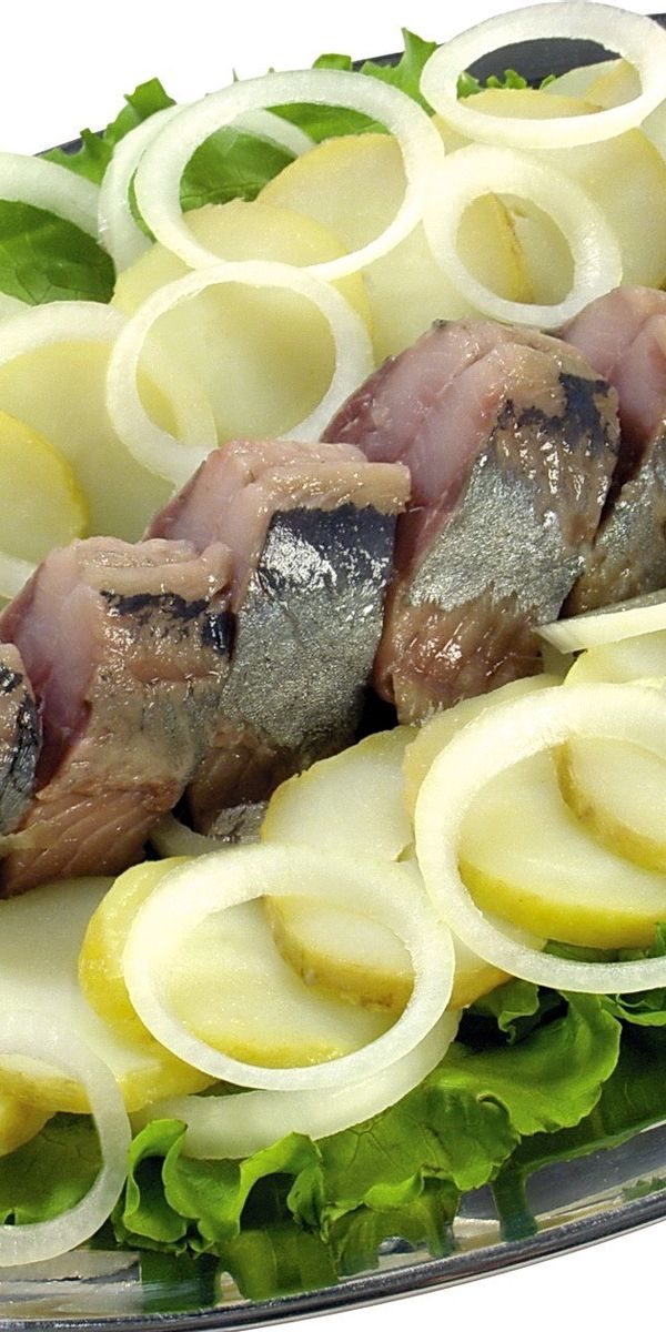 Free Herring 4K Wallpapers & Desktop HD Backgrounds for PC