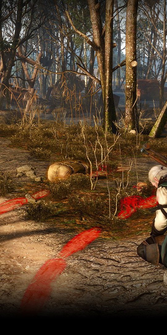 Desktop wallpaper: Video Game, The Witcher 3: Wild Hunt, Fantasy ...