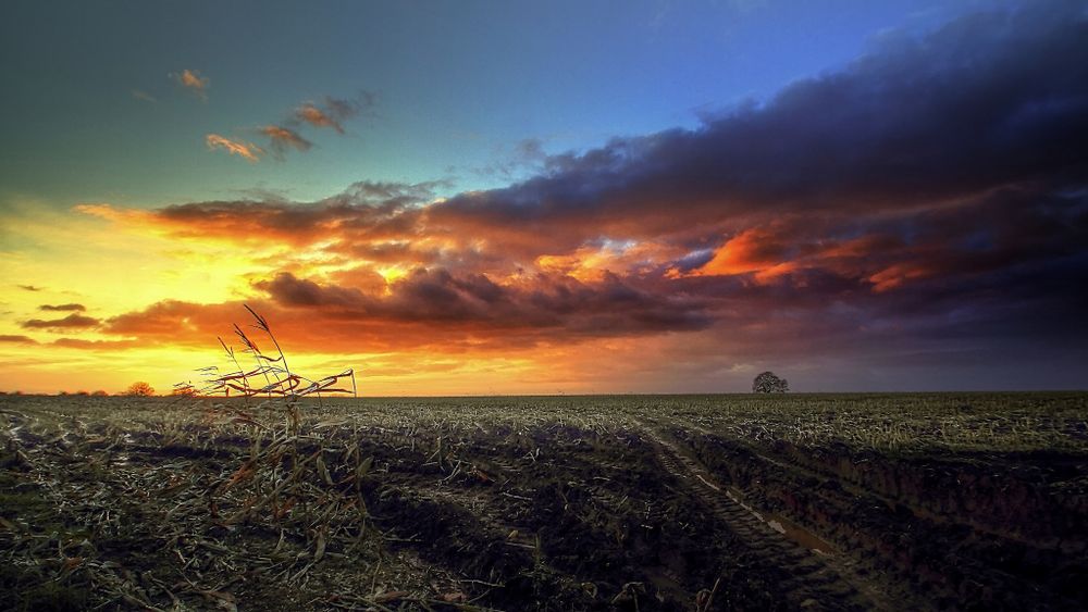 HD desktop wallpaper: Earth, Field download free picture #631623