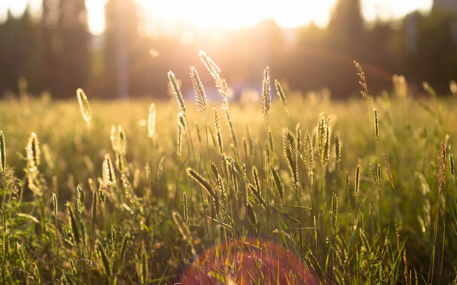 Free Overflow 4K Wallpapers & Desktop HD Backgrounds for PC