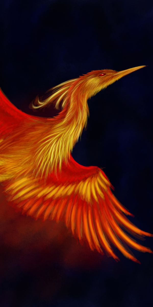 Phone wallpaper: Phoenix, Fantasy, Bird, Flight, Wings, Fantasy Animals ...