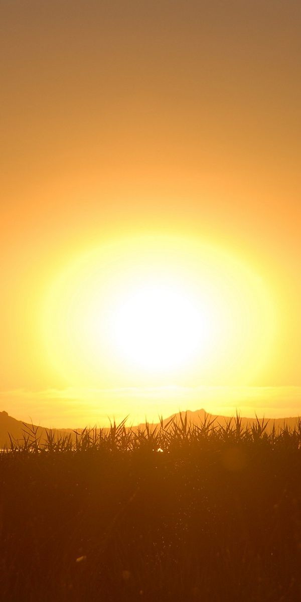 Desktop wallpaper: Sun, Earth, Sunset, Grass, Landscape, Mountain ...