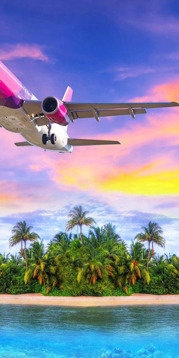 Desktop wallpaper: Airbus A320, Airplane, Palm Tree, Aircraft, Vehicles ...