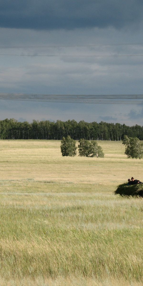 Haymaking Phone Wallpapers: Free 4K & HD Downloads | mob.org