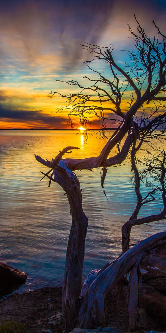 Desktop wallpaper: Earth, Lake, Cloud, Golden, Silhouette, Sky, Sunset ...